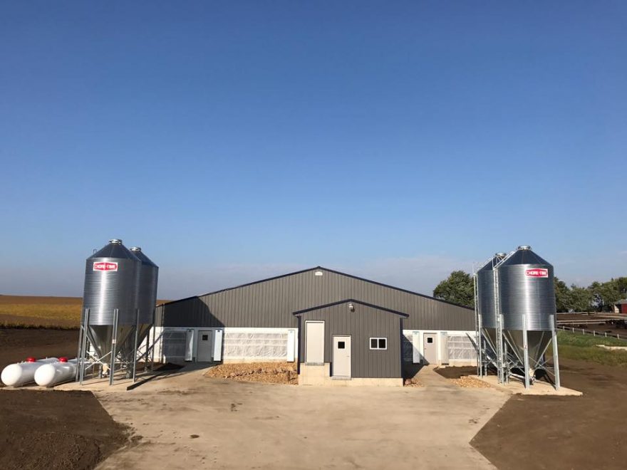 We Build Homes For Hogs (homepage section) | Van Voorst Equipment